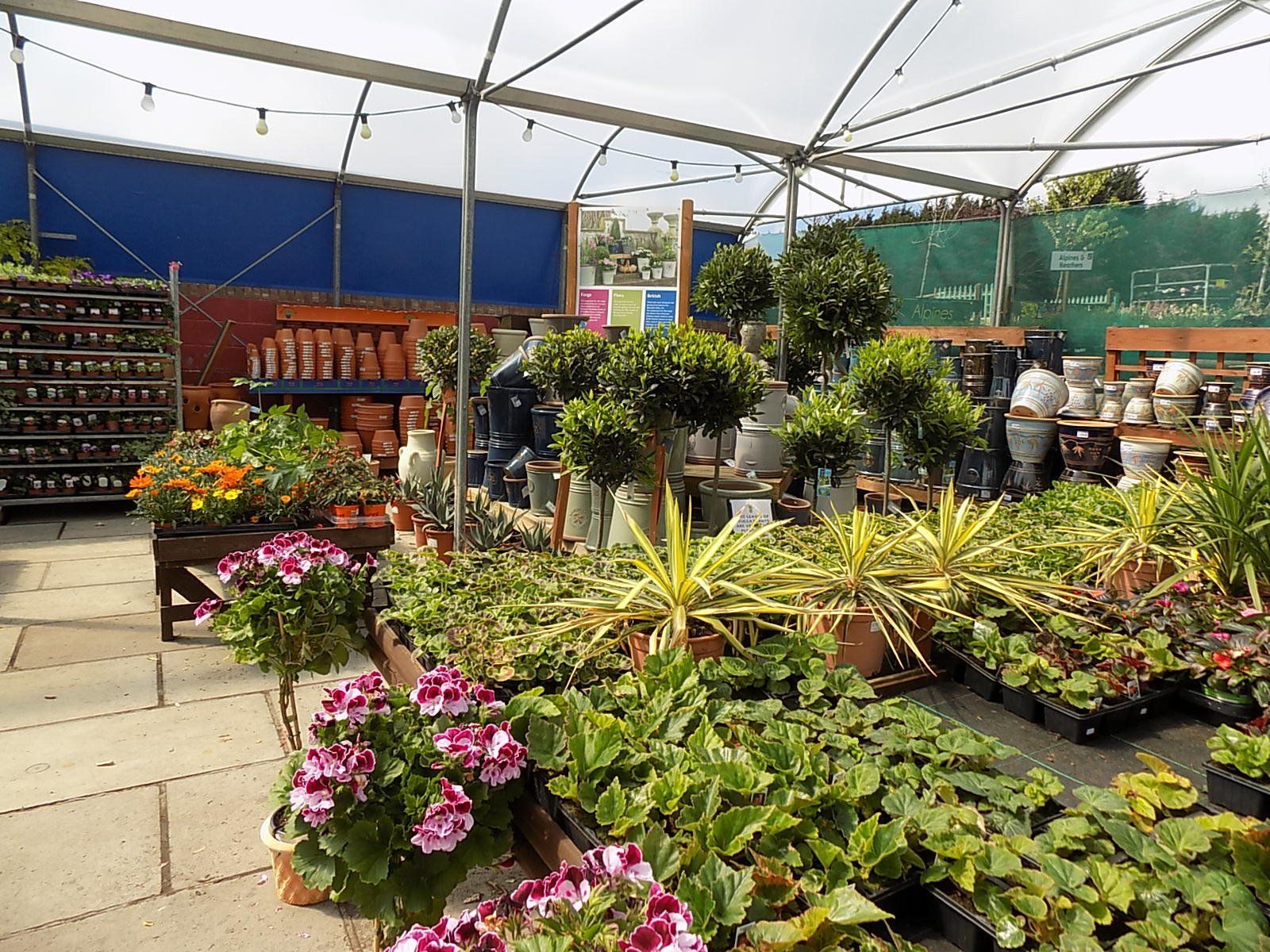 Cronton Garden Centre - Bedding Plants & Hanging Baskets