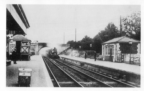 Growth of Netley Abbey Village and surrounding areas