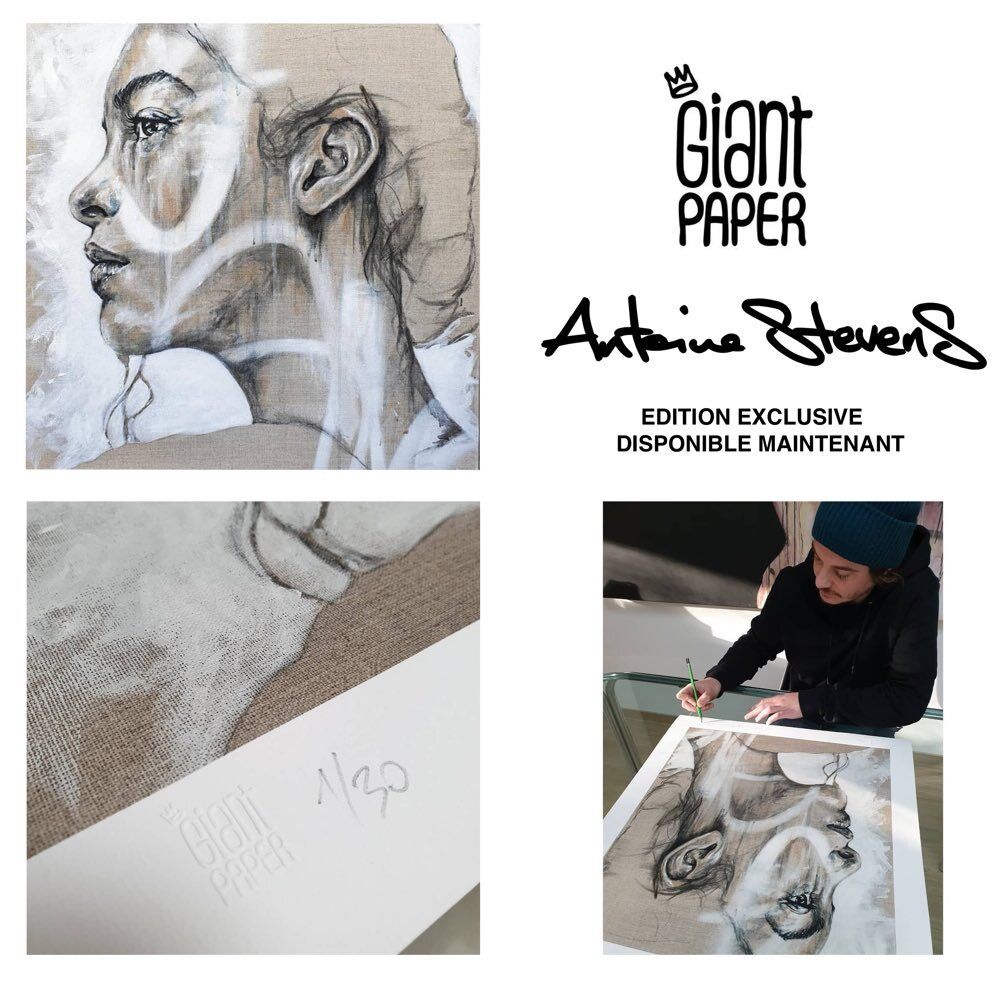 Antoine Stevens artiste peintre