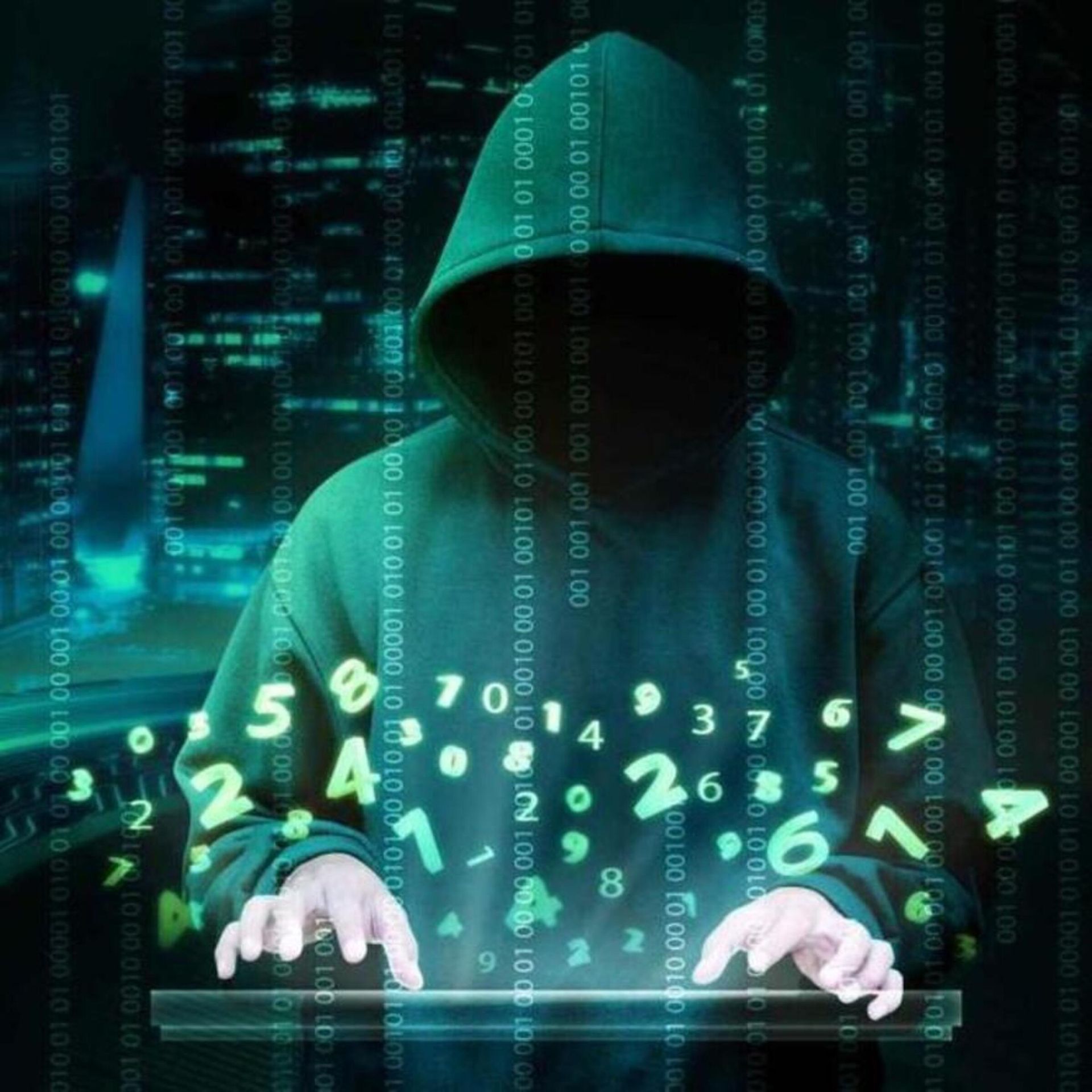 Zandei – Official Website