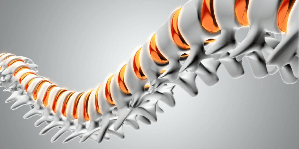 Los discos intervertebrales