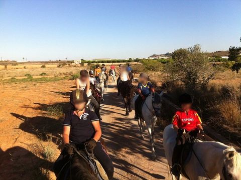 PASEOS POR EL CAMPO