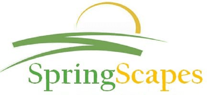 SpringScapes Landscaping l Landscaper in Arlington & Mansfield