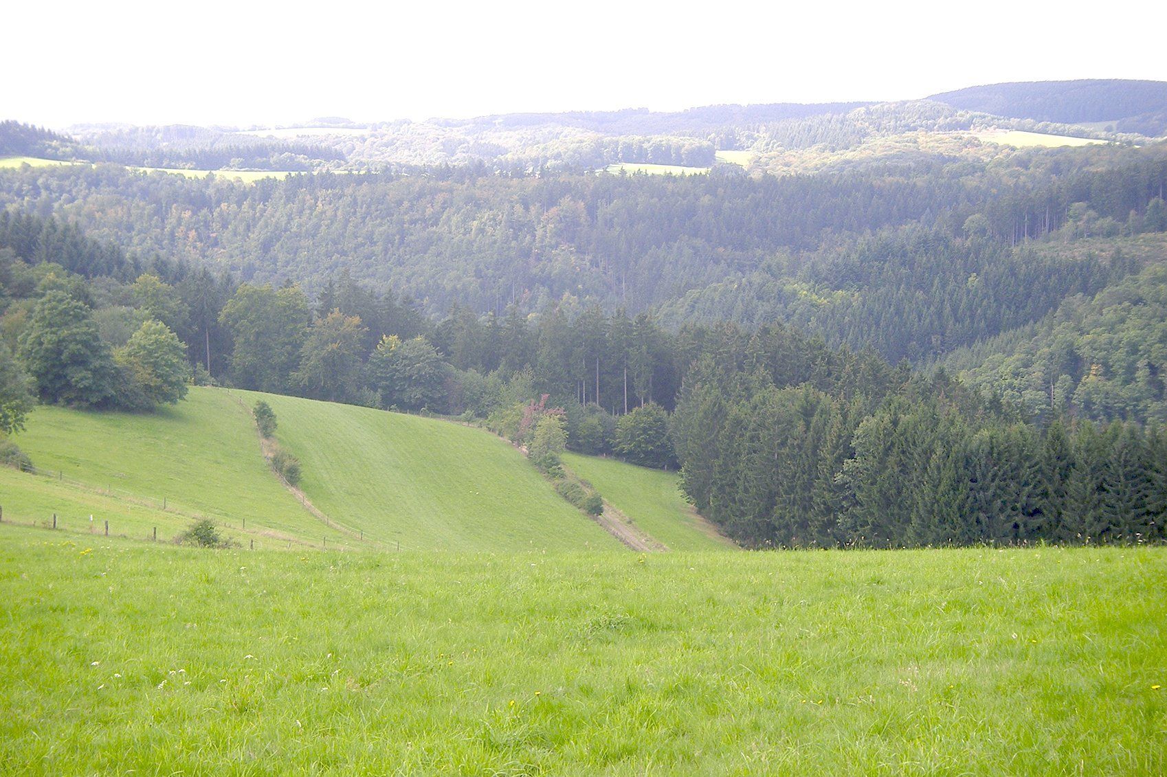 Eifel erleben