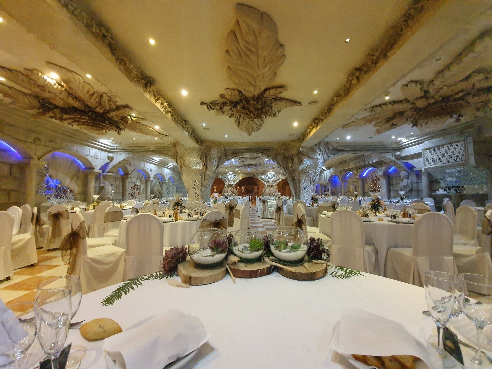 RESTAURANTE MAGICO CAMPICO