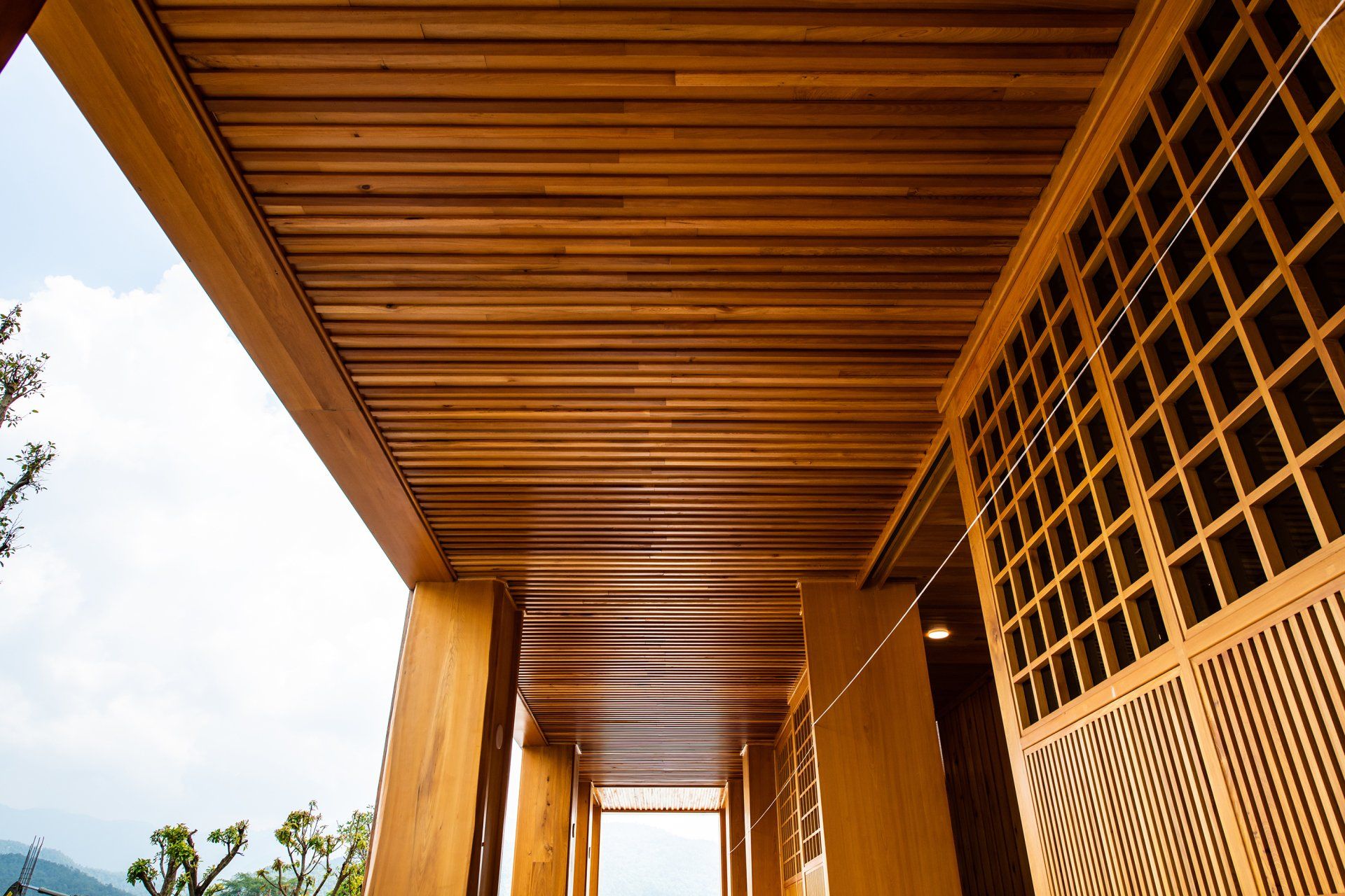 Solignum Colourless AZ