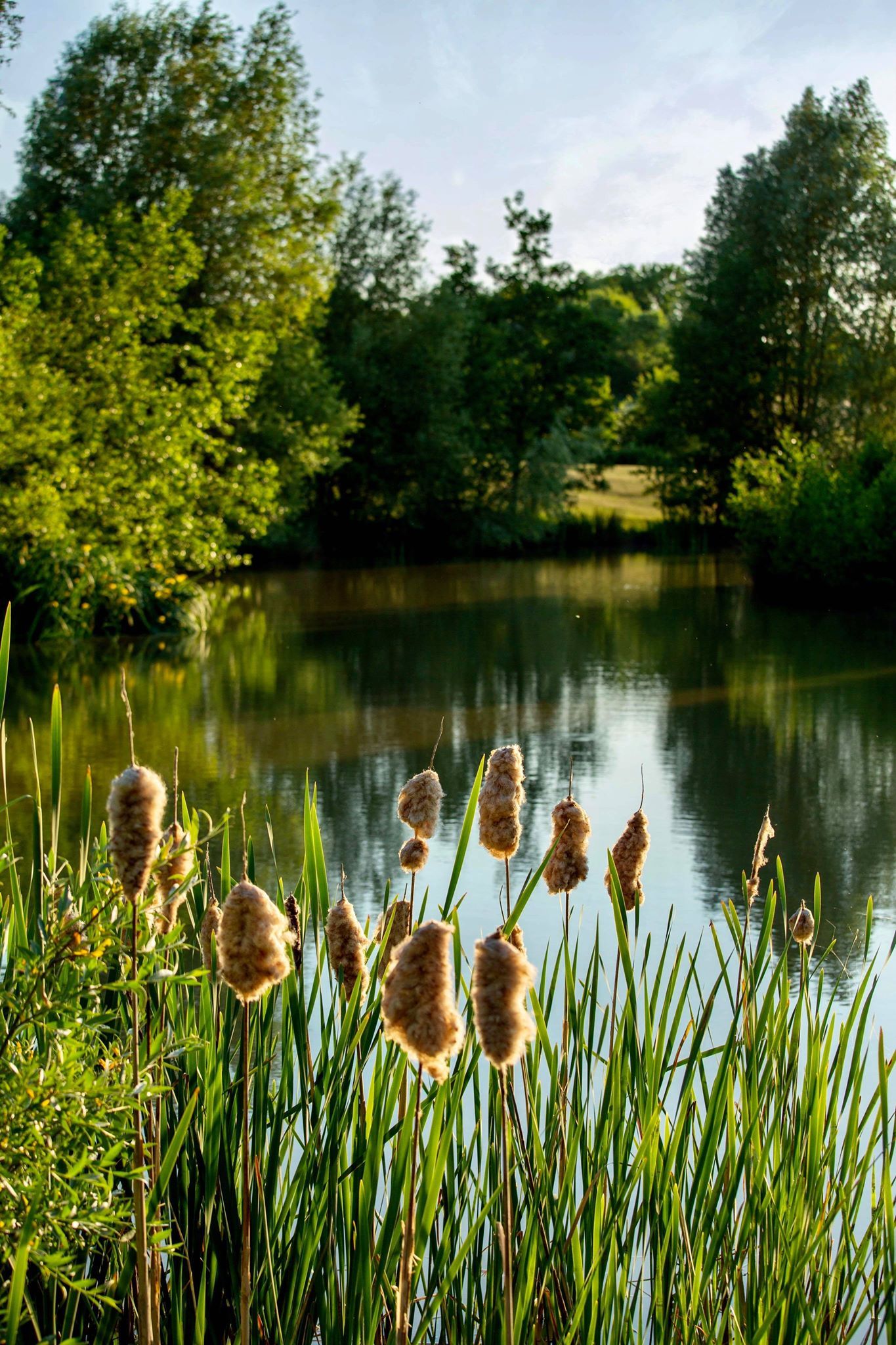 Bishampton & Throckmorton Parish Council