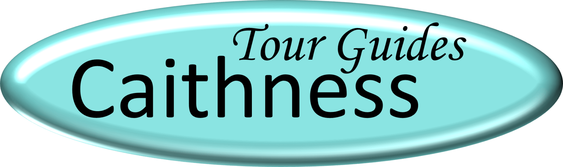 Driver Guided Tours