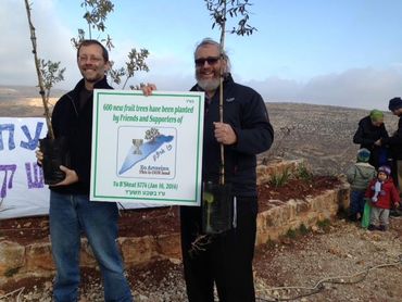 Home - Plant Fruit Trees in Israel with Israel Trees - Zo Artzeinu