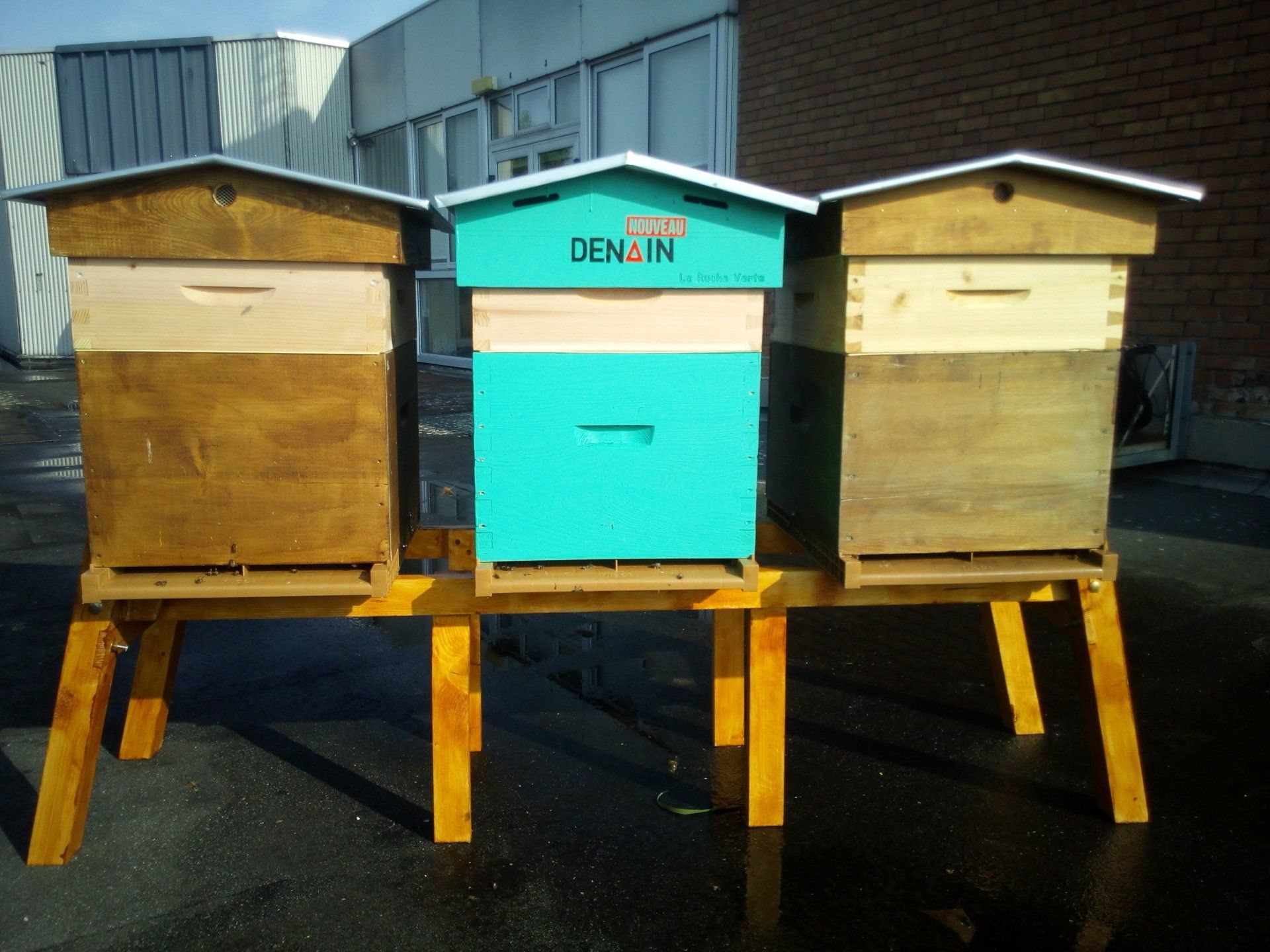 Des ruches et des abeilles - Parrainage et installation de ruches