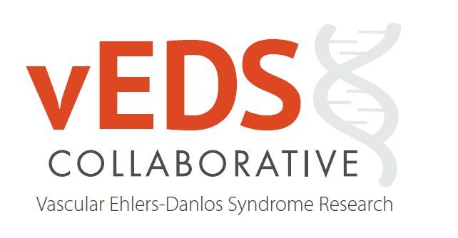 VEDS specific longitudinal study