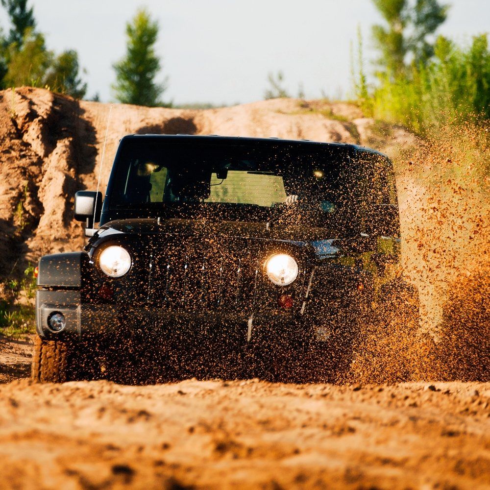 AREA 39 / Offroadpark / Die ultimative Offroad Action von Armin Schwarz