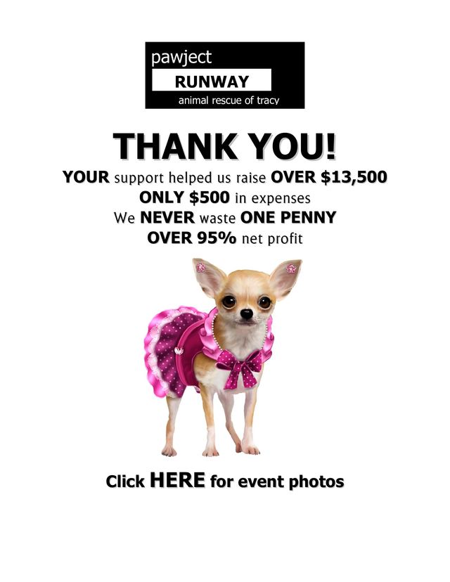 Guardian Angel Pet Rescue California : 3 Lovable Pups To Adopt Now In ...