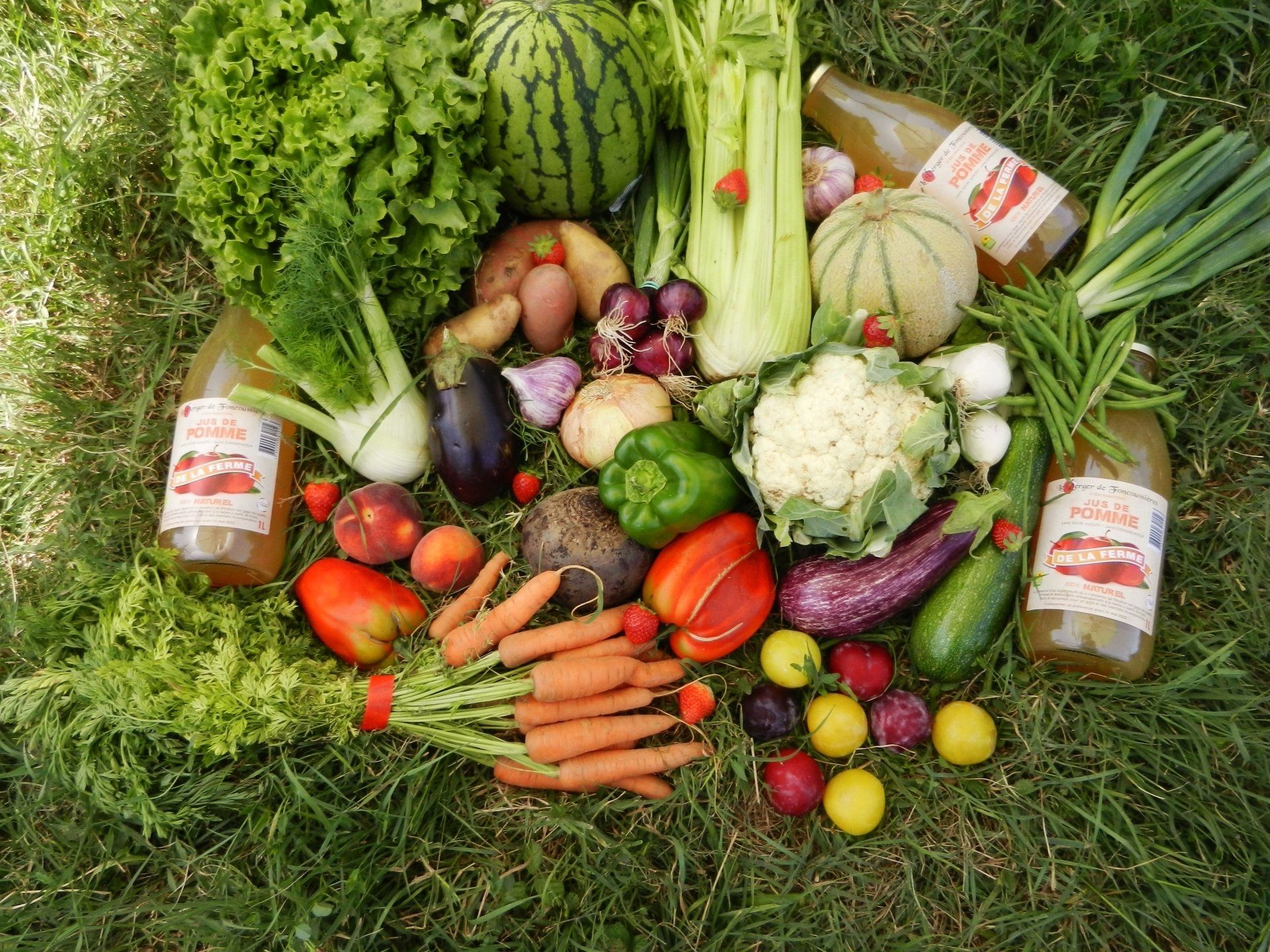 Cueillette de fruits Rabastens - Magasin de producteurs