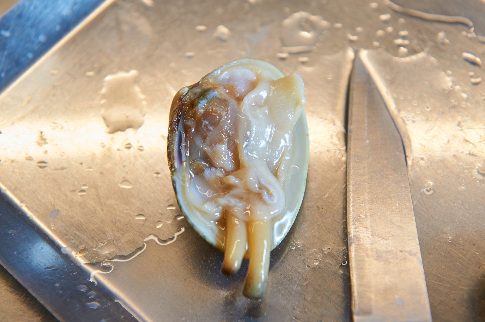 Restaurante Estimar - Barcelona y Madrid - Haz tu reserva