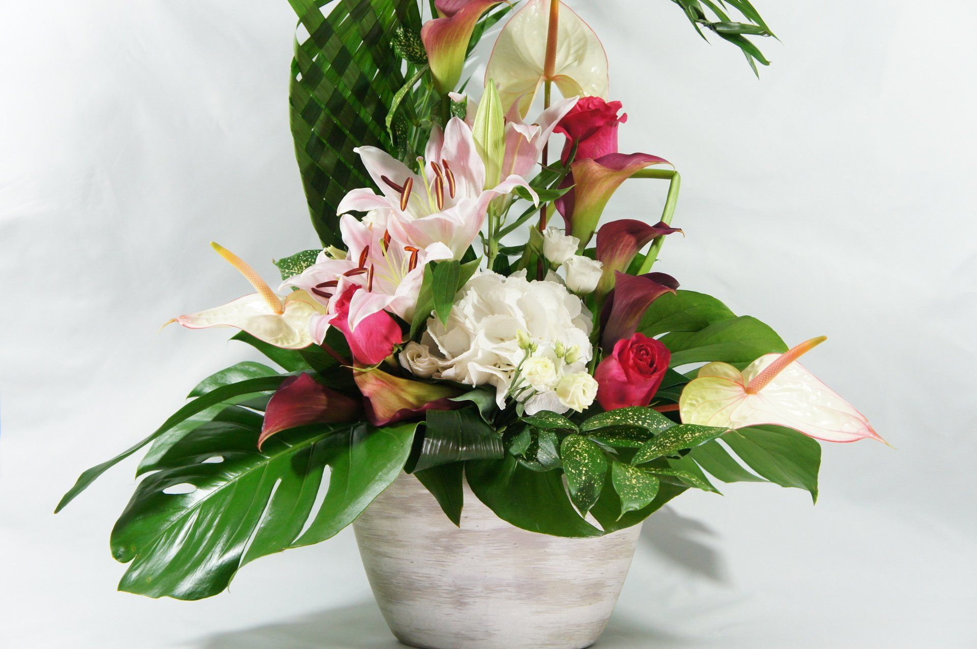 Borg Fleurs, Fleuriste à Pontault-Combault