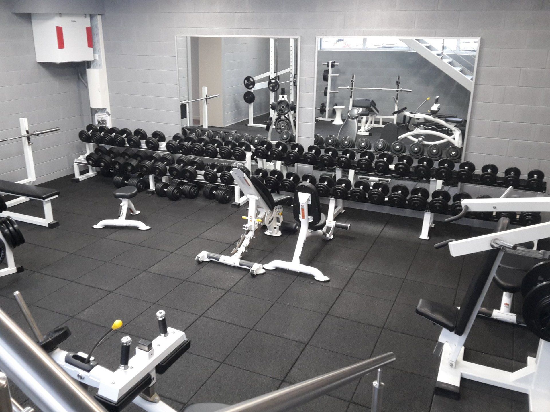 Force et Musculation