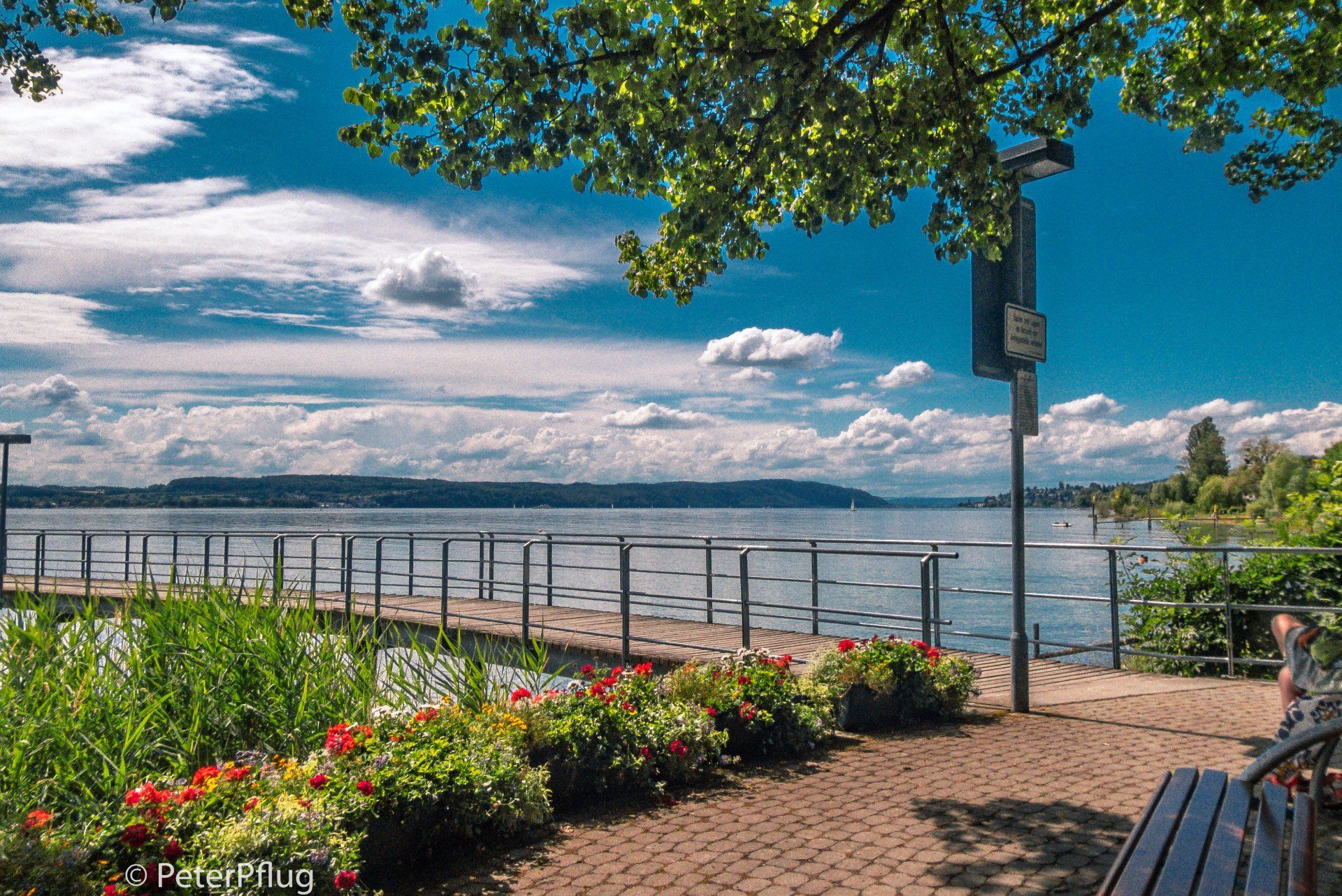Am schönen Bodensee: das Ufer
