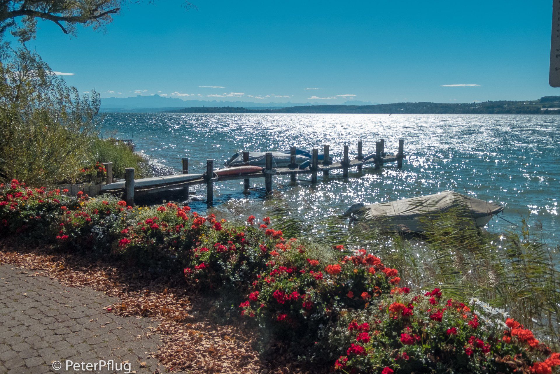 Am schönen Bodensee: das Ufer