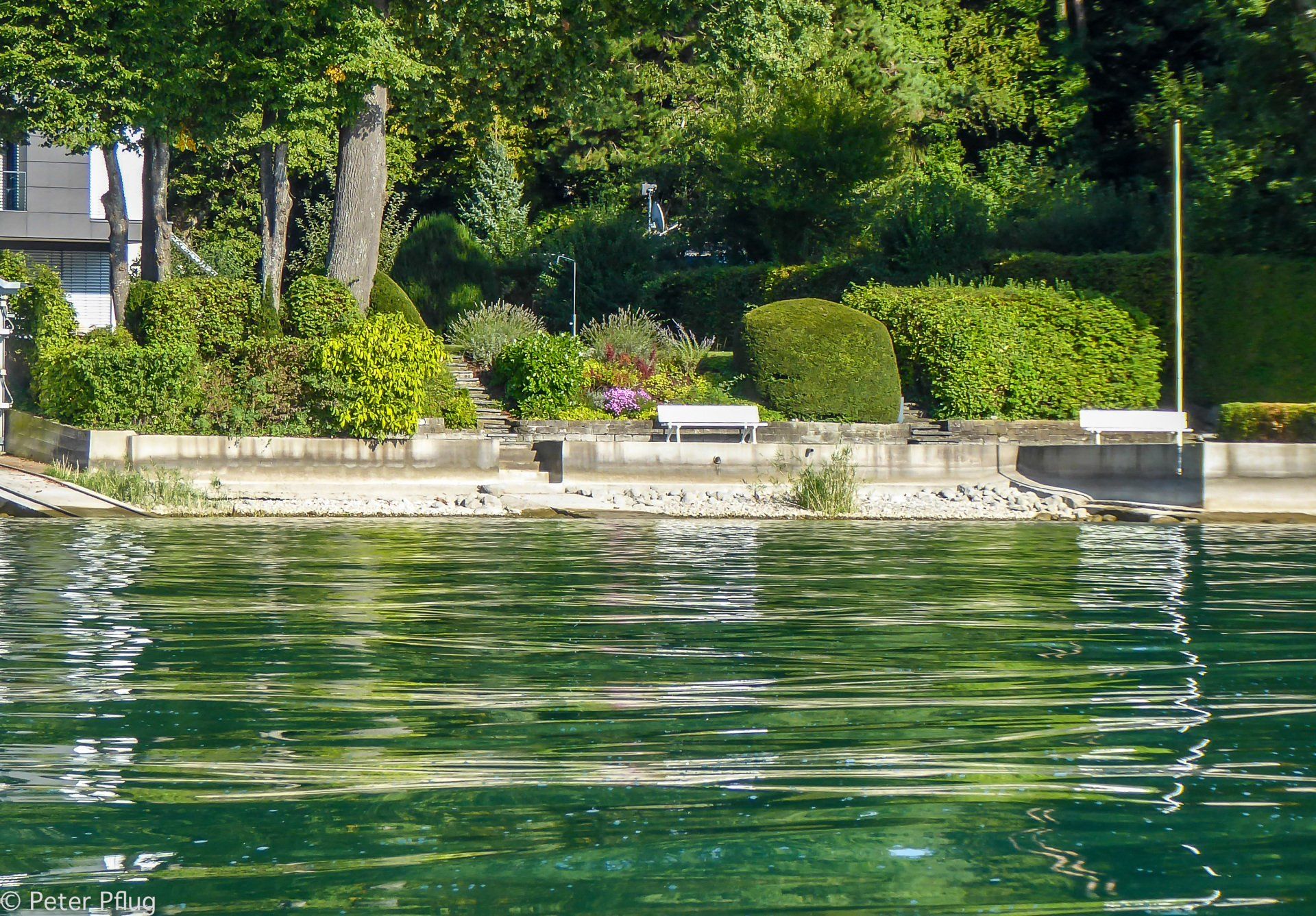 Am schönen Bodensee: das Ufer