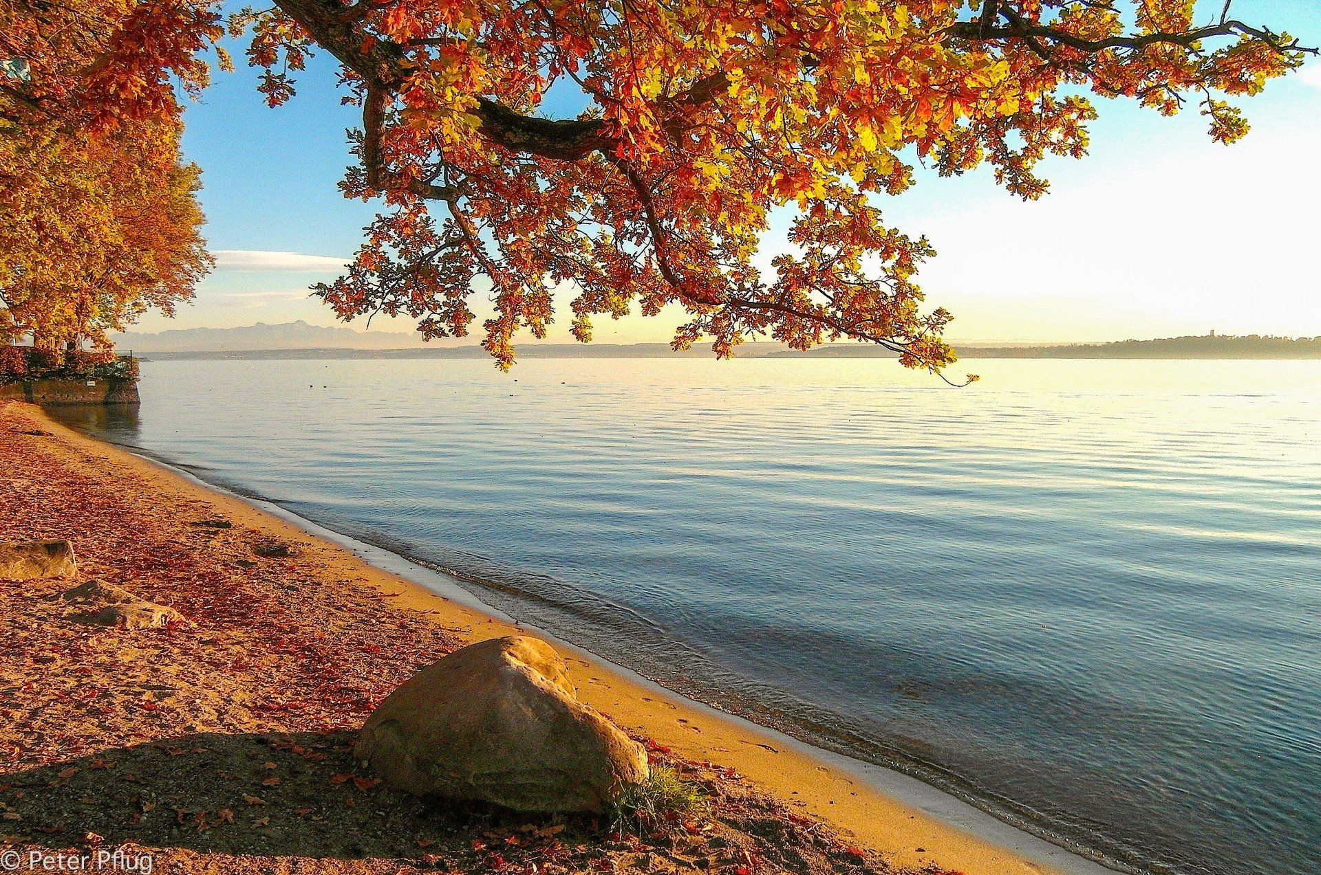 Am schönen Bodensee: das Ufer