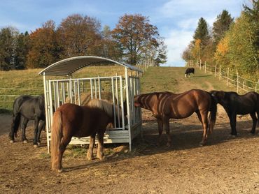 Home [www.blackhillranch.at]