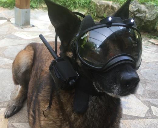 K9 supervision, dog goggle camera, see, listen, record