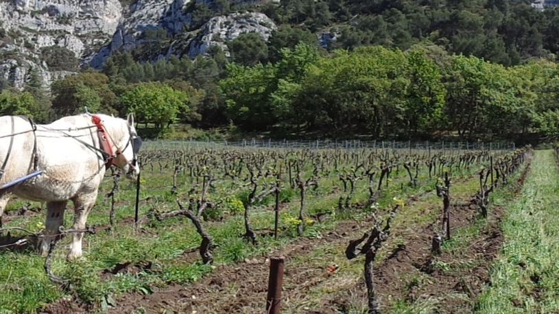 Aux Monts Fermiers / Nos producteurs / Viticulteurs