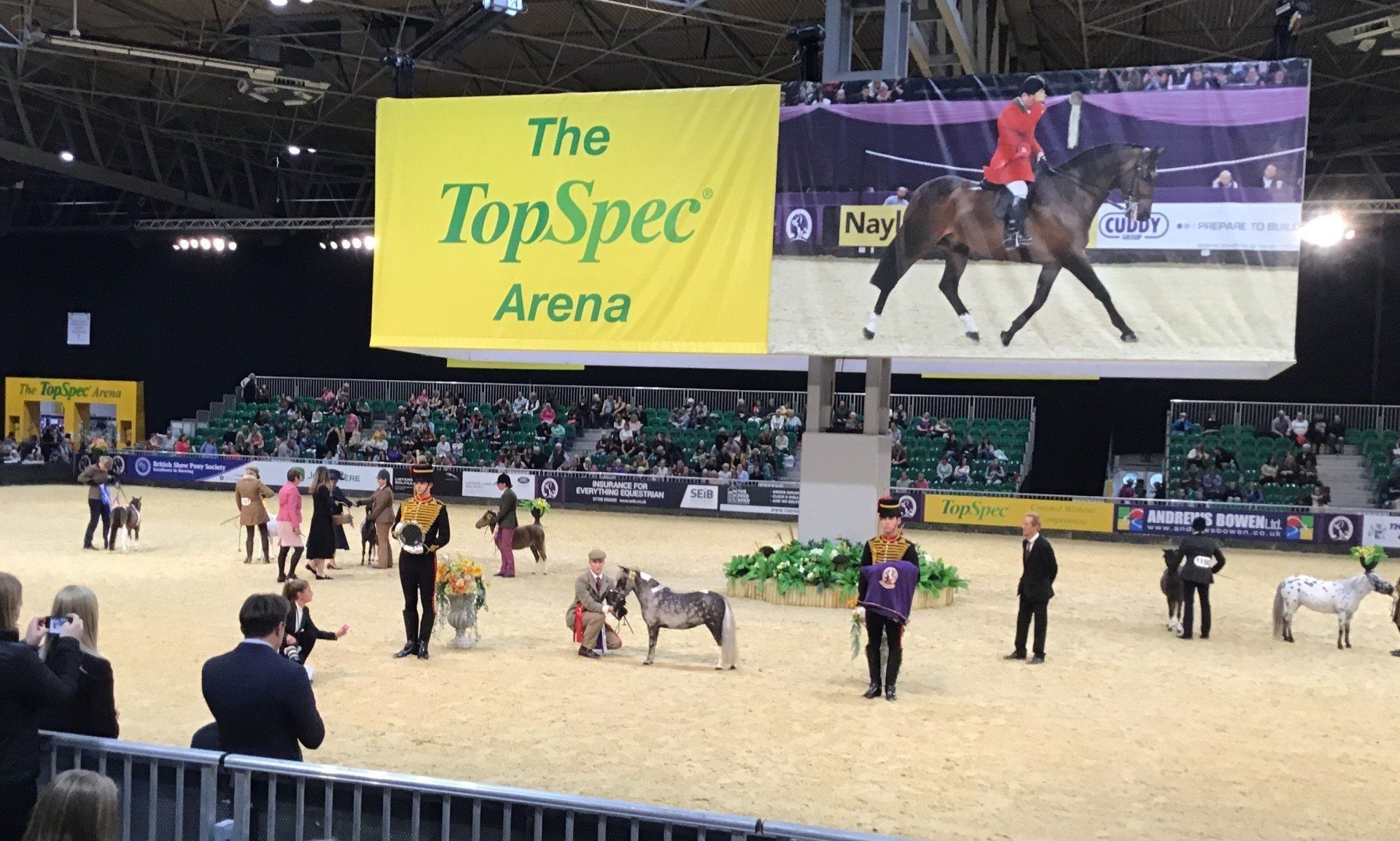 HOYS 2019