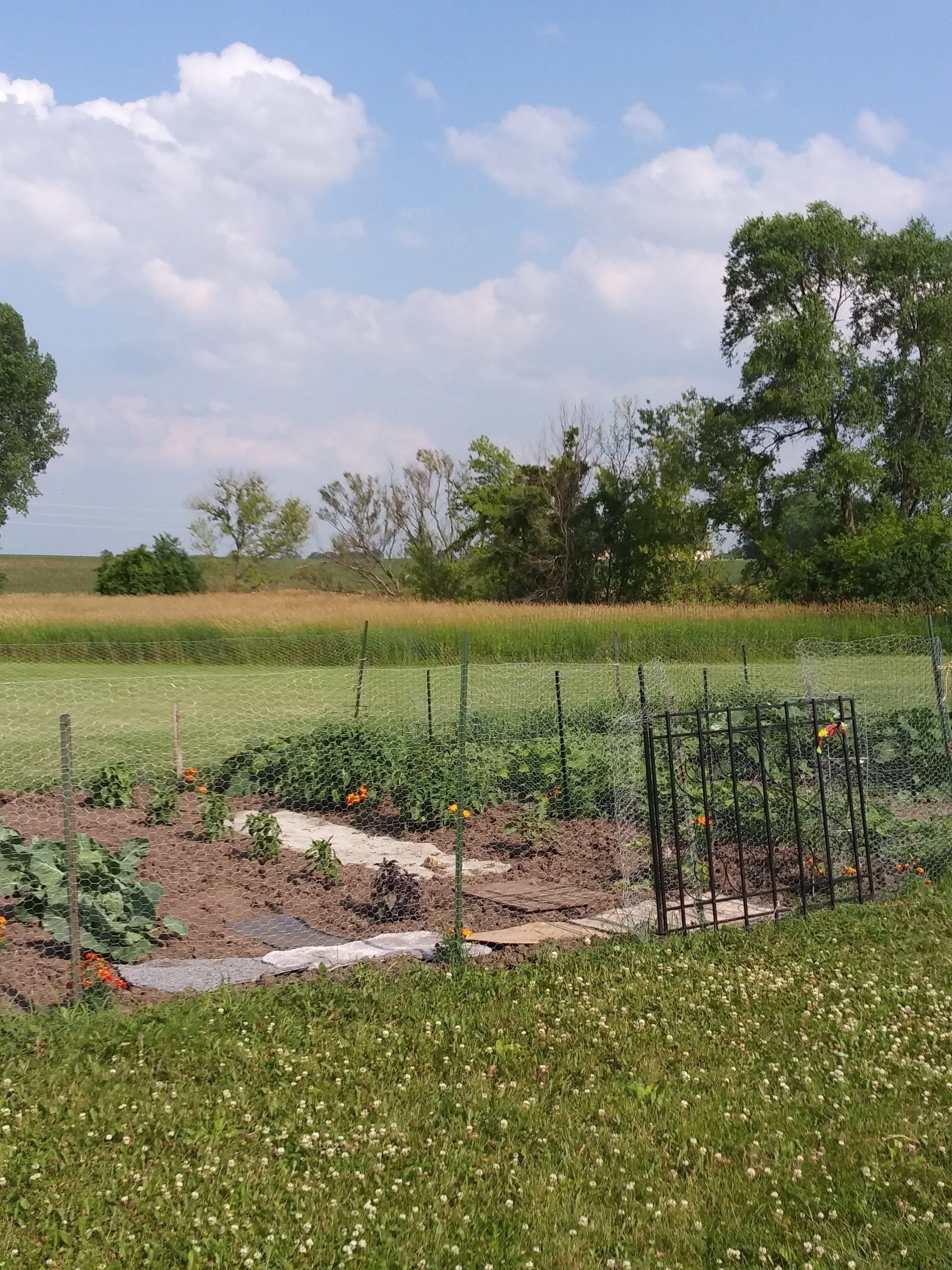Community Garden at Trinity Evangelical Free Church