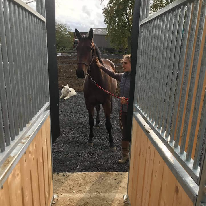 Ecurie Active : Comment bien préparer l'intégration de son cheval