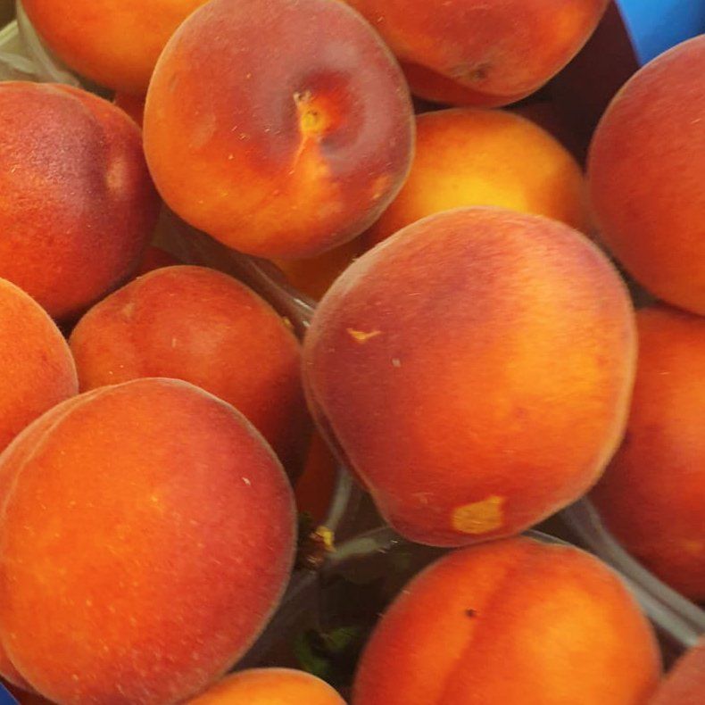 Italienisches Obst & Gemüse - San Marzano Tomaten, Almalfi Zitronen uvm.