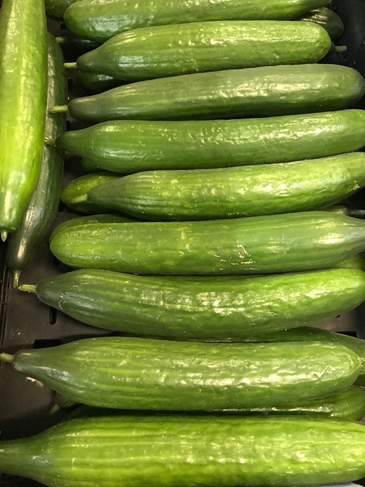 Nos concombres Atlantic en direct producteur