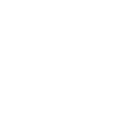 SAS CYBERJET - AIR TRANSPORT INFORMATION SYSTEM