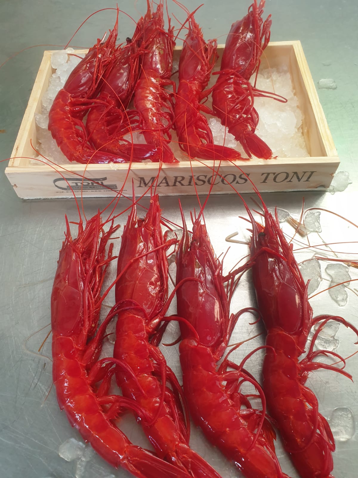 Mariscos TONI (Huelva), frescos y cocidos. Venta online. Gambas blanca