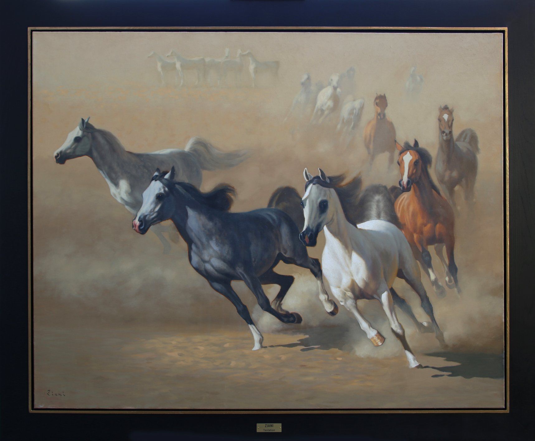 Hocine Ziani, galerie peintures, nouvelles, anciennes