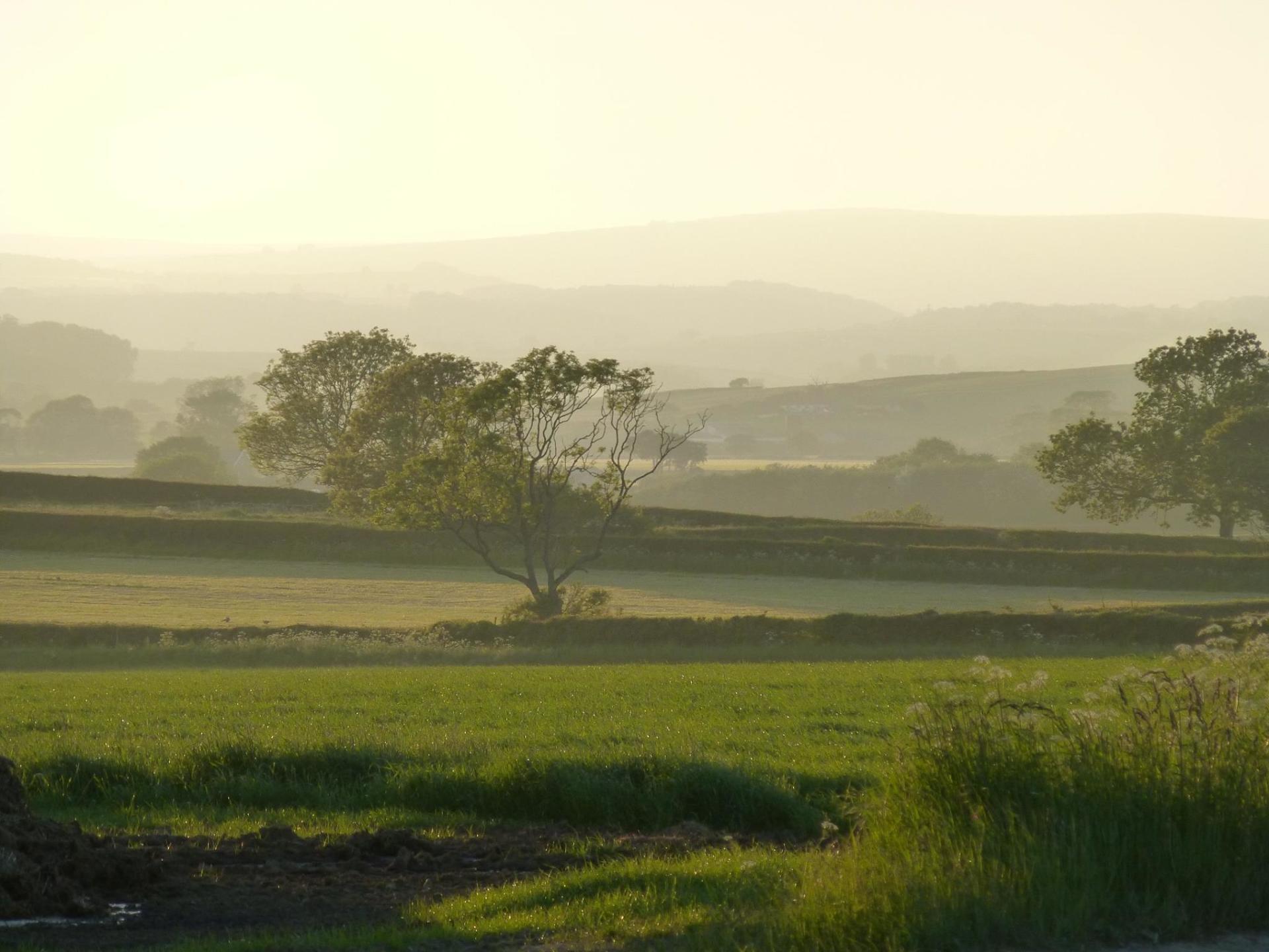 Ryedale Open for Business