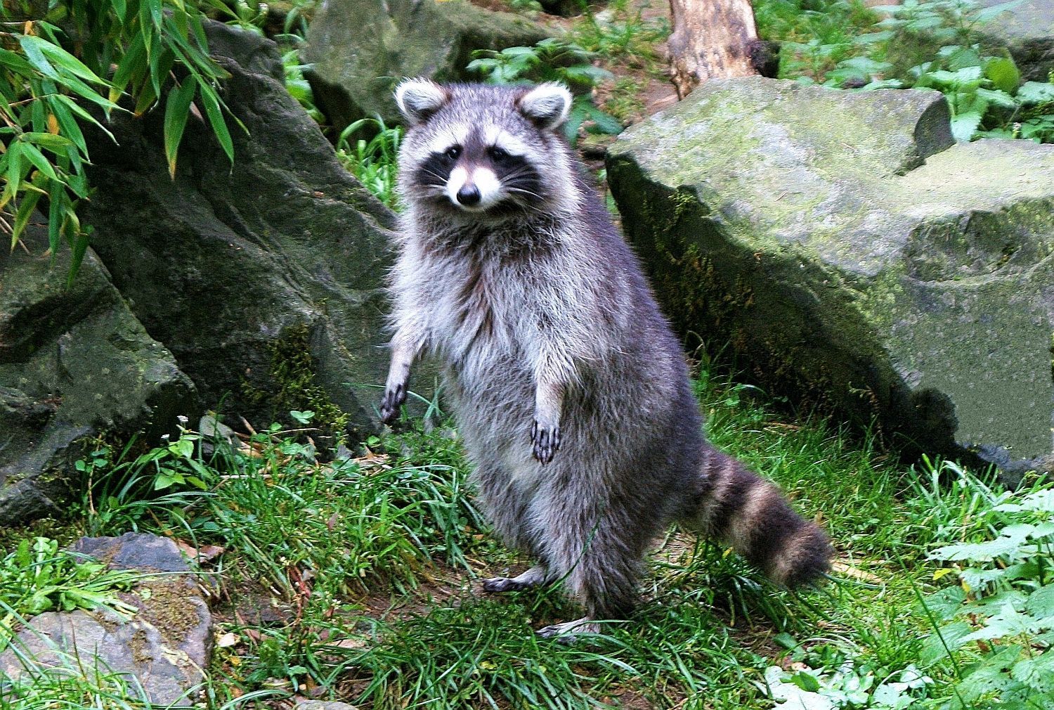 Aktuelles