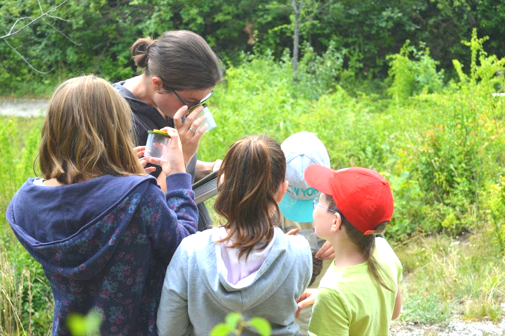 Waldpädagogik für Schulen und Kindergärten