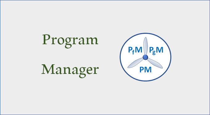 Why Project Performers Use P3M Engine