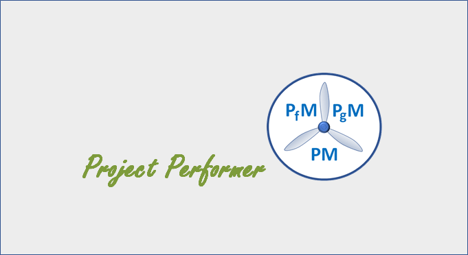 Why Project Performers Use P3M Engine