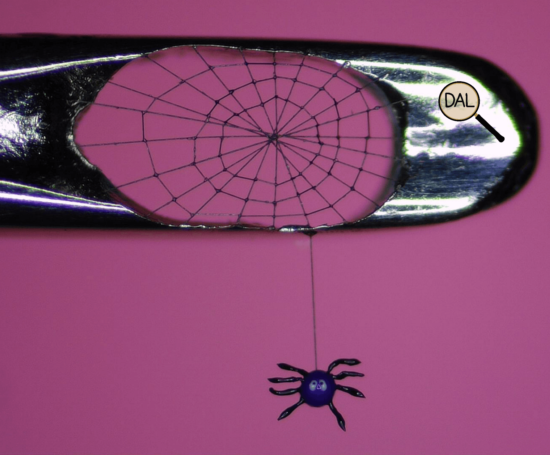 Home [www.davidalindon.com]