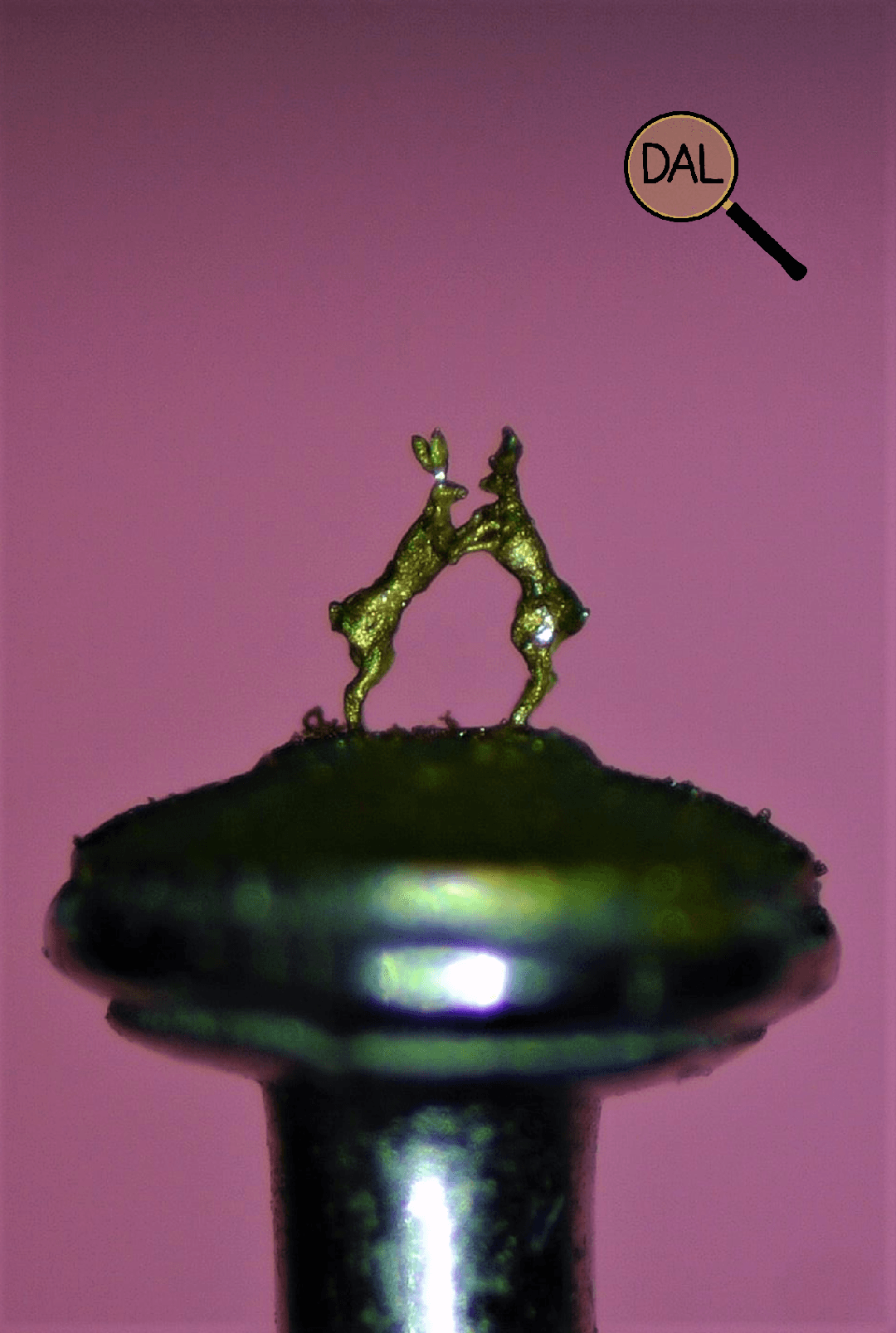 Home [www.davidalindon.com]