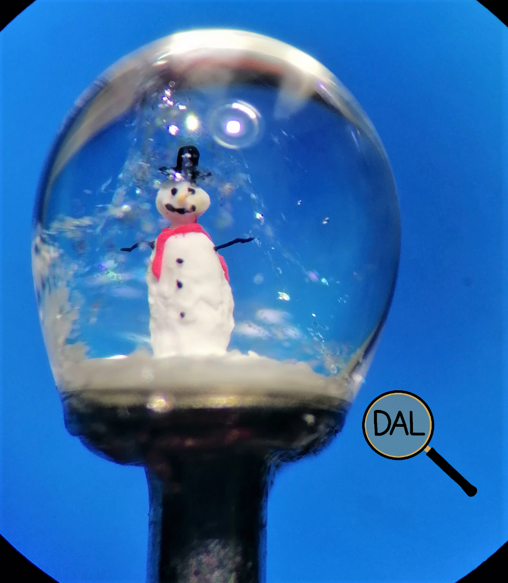 Home [www.davidalindon.com]