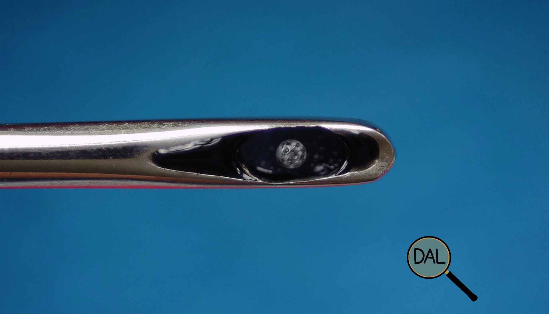 Home [www.davidalindon.com]