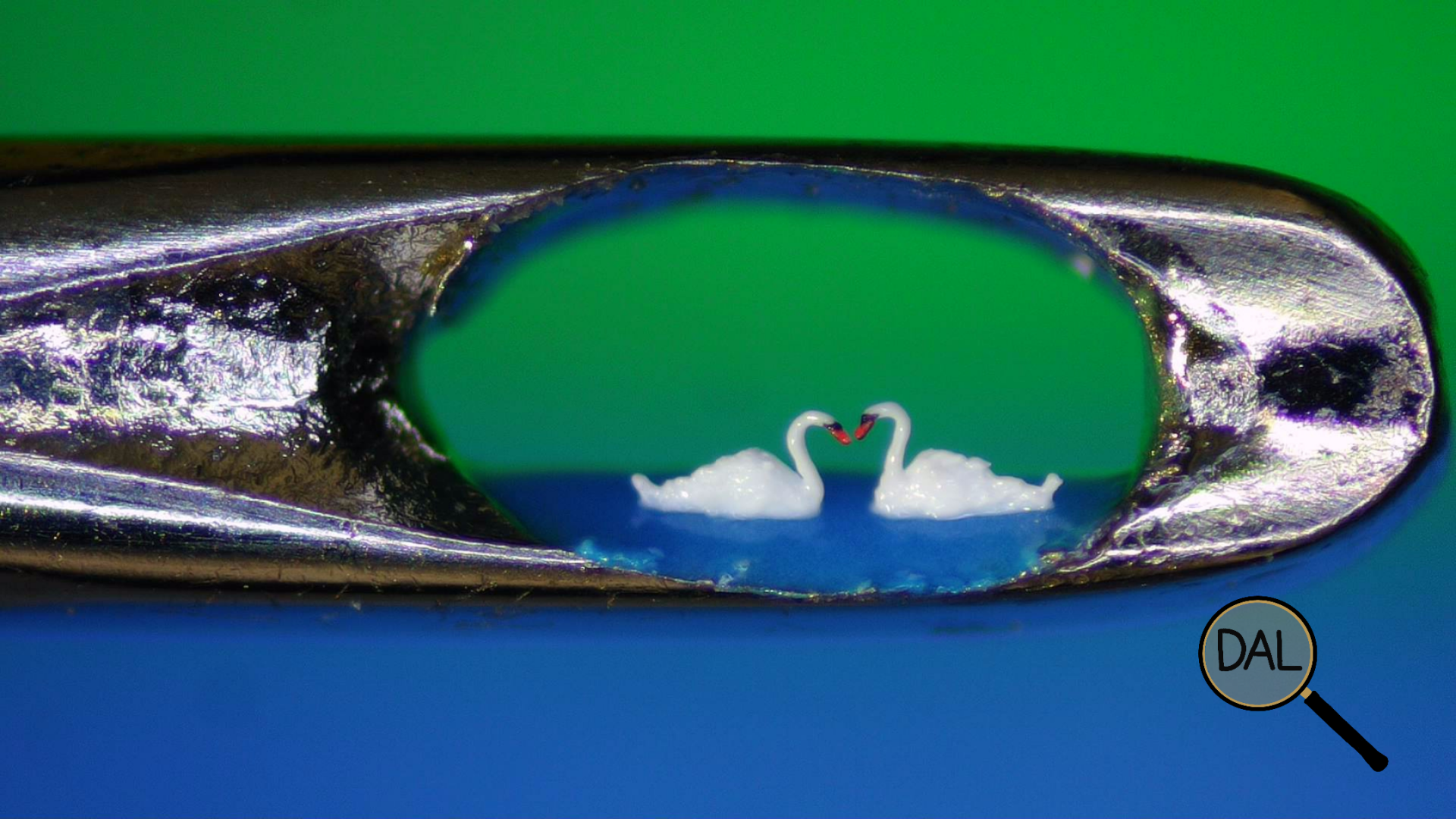 Home [www.davidalindon.com]