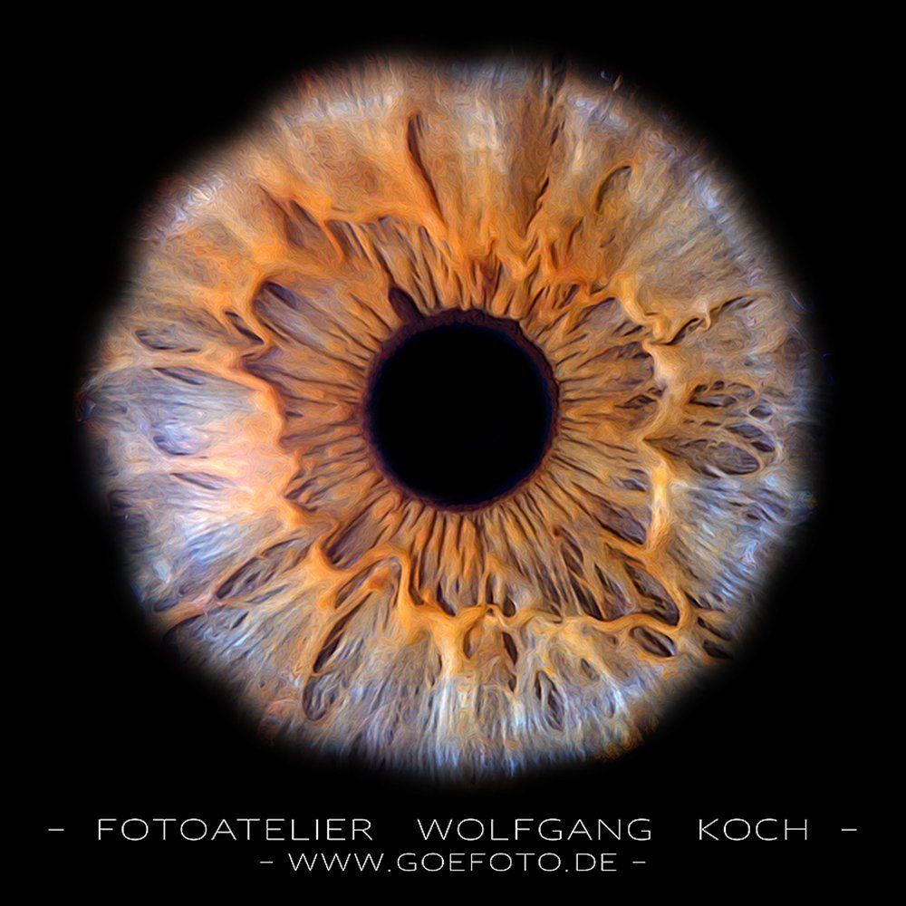 Irisfotografie, Irisfoto Göttingen
