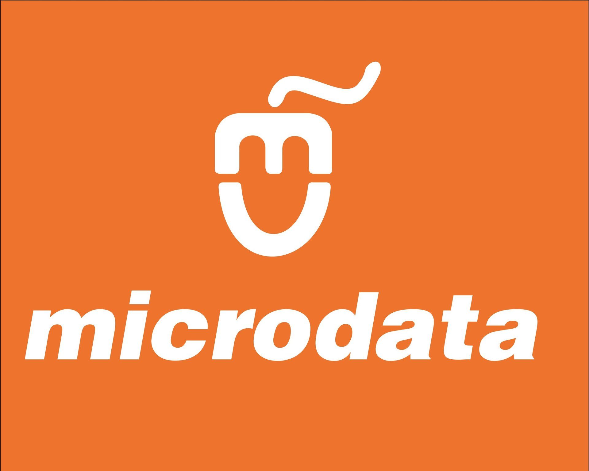 Microdata informatica