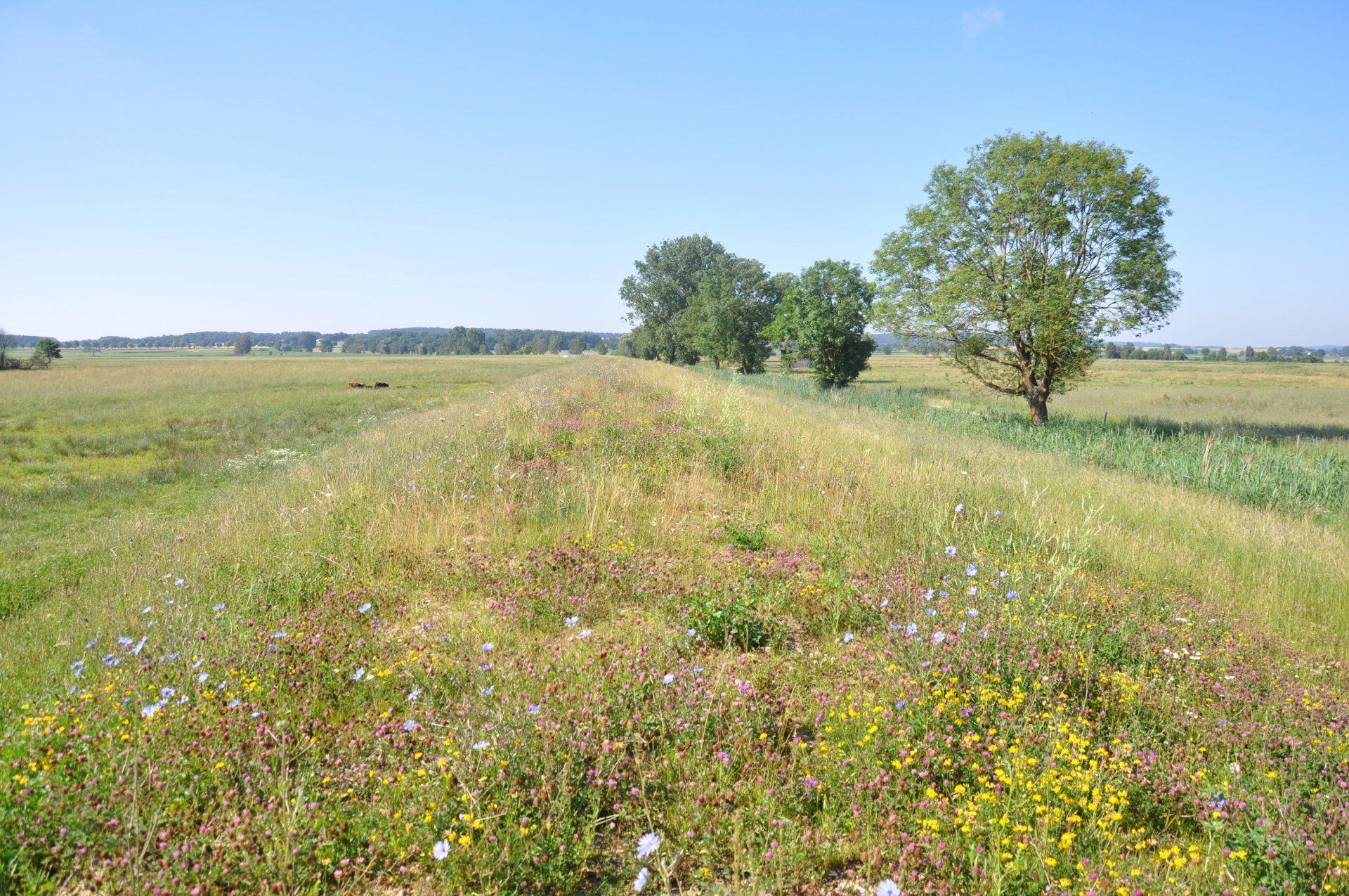 Arten- und Biotopschutz