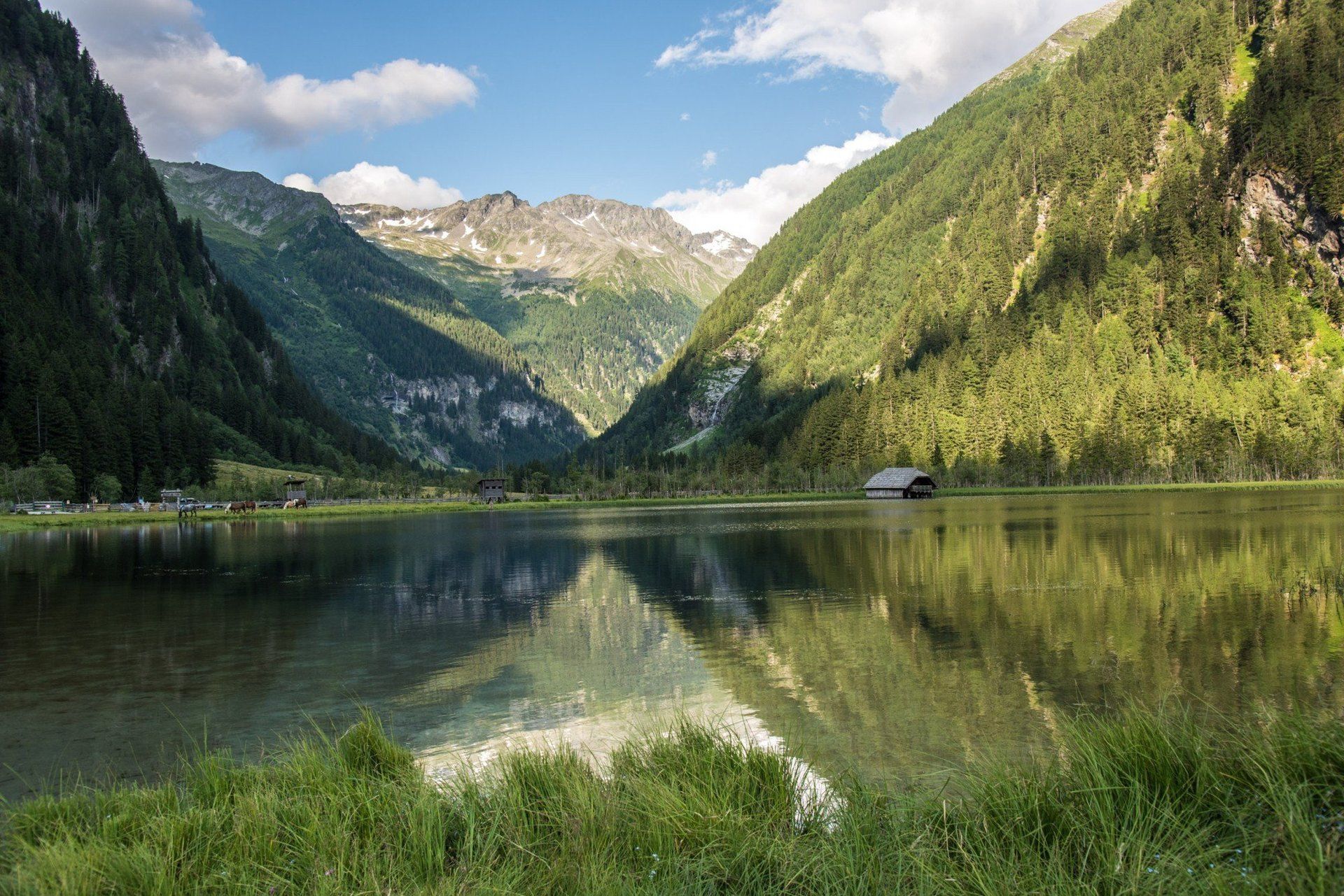 Nationalpark Hohe Tauern | Urlaub im Nationalpark | Naturerlebnis ...